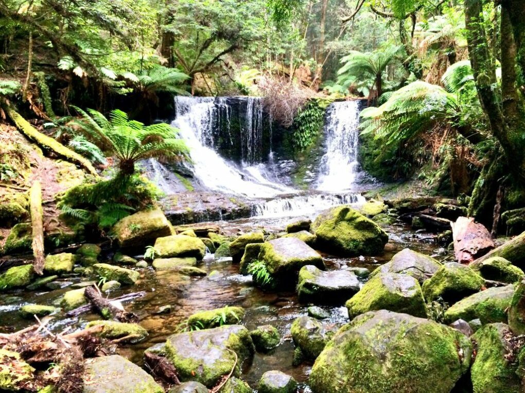 Horseshoe Falls - Wasserfälle im Mount Field Nationalpark